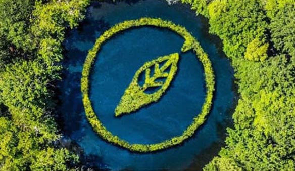 UOB Sustainability Compass | UOB Malaysia