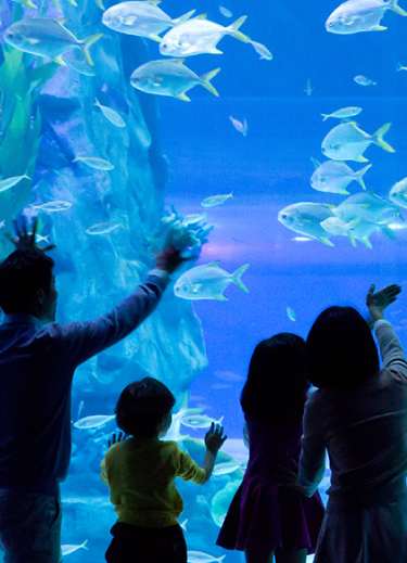 Visa Exclusive: Lotte World | UOB Malaysia