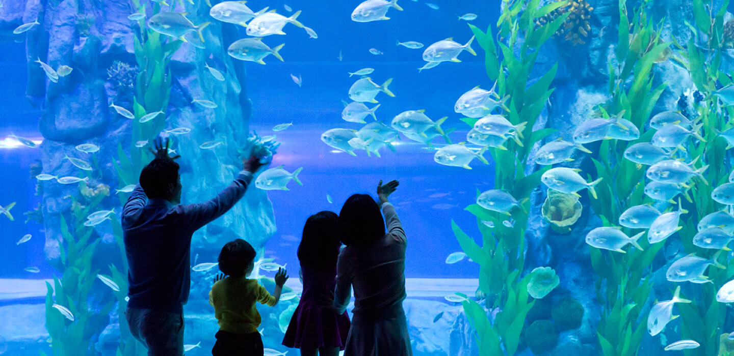 Visa Exclusive: Lotte World | UOB Malaysia